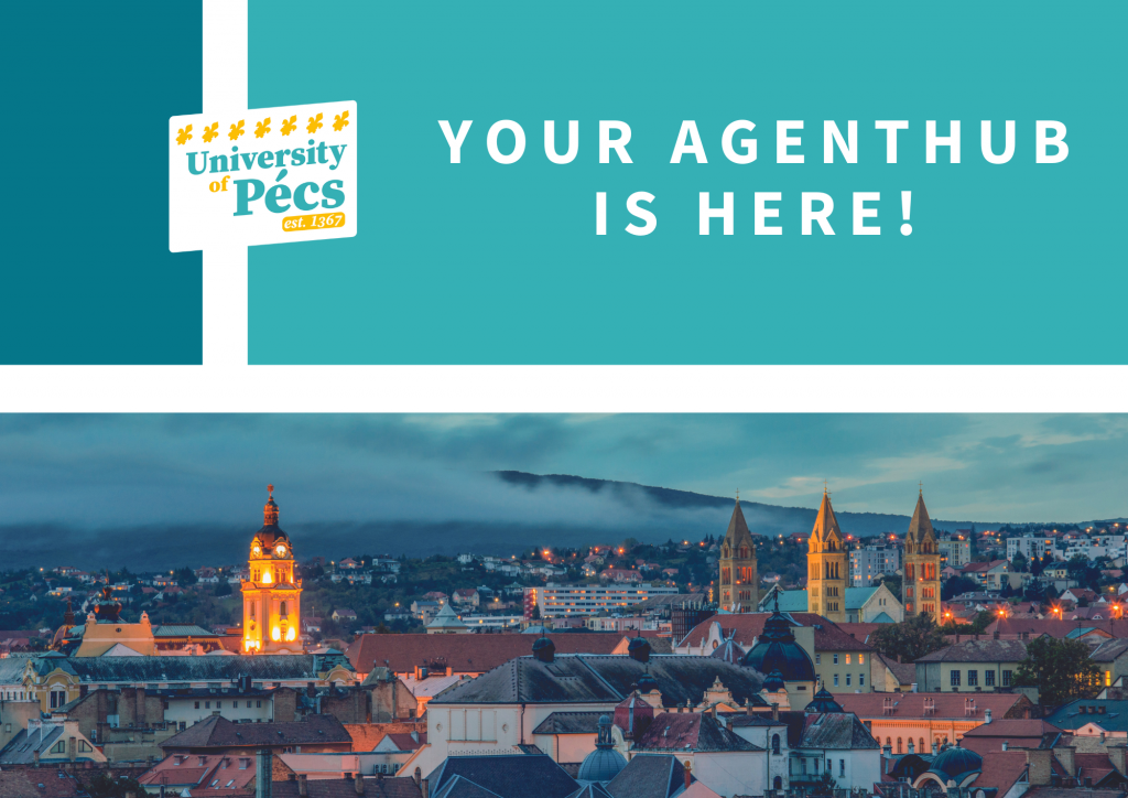 AgentHub is Ready and Operational!